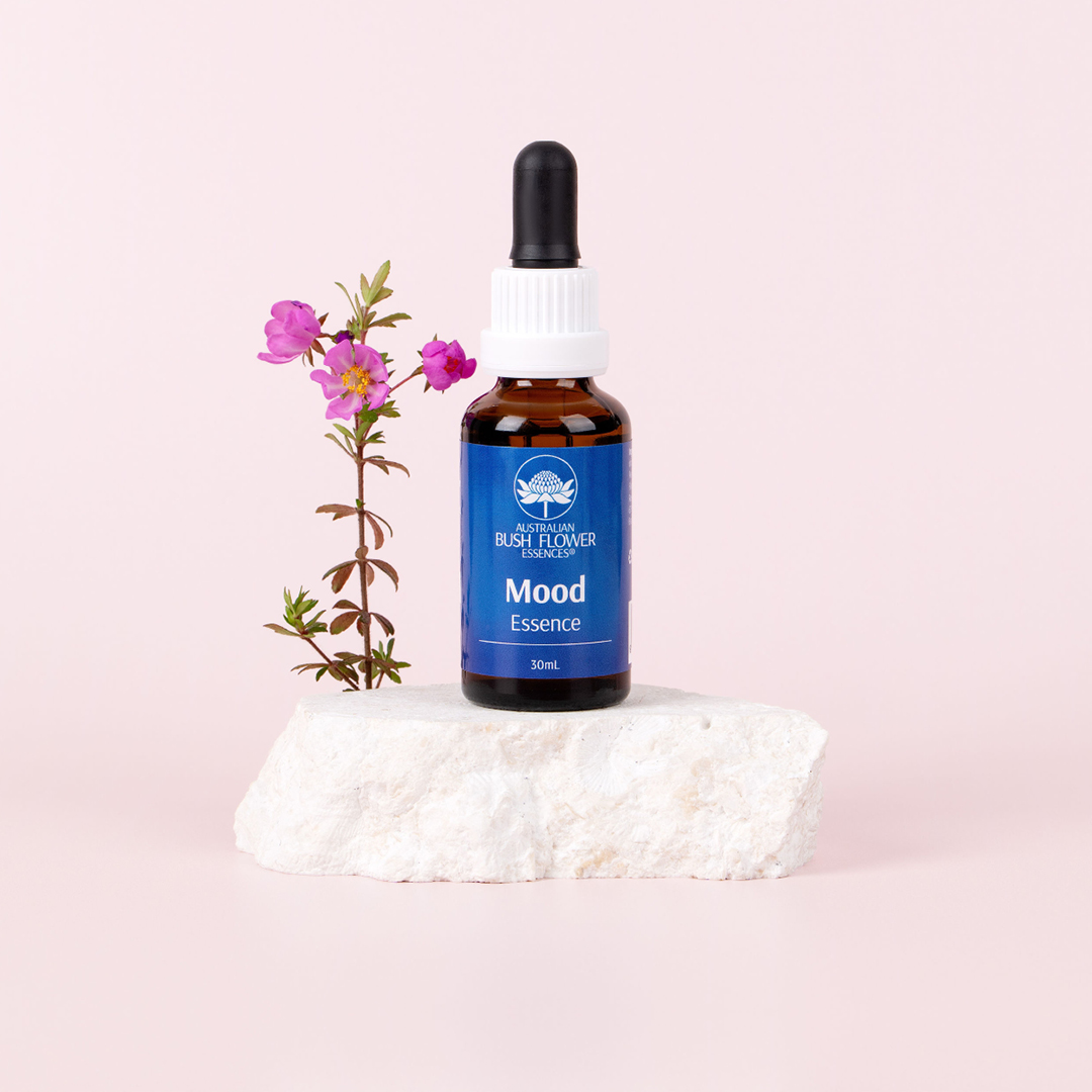 Nová kombinace MOOD – NÁLADA - Life Direction